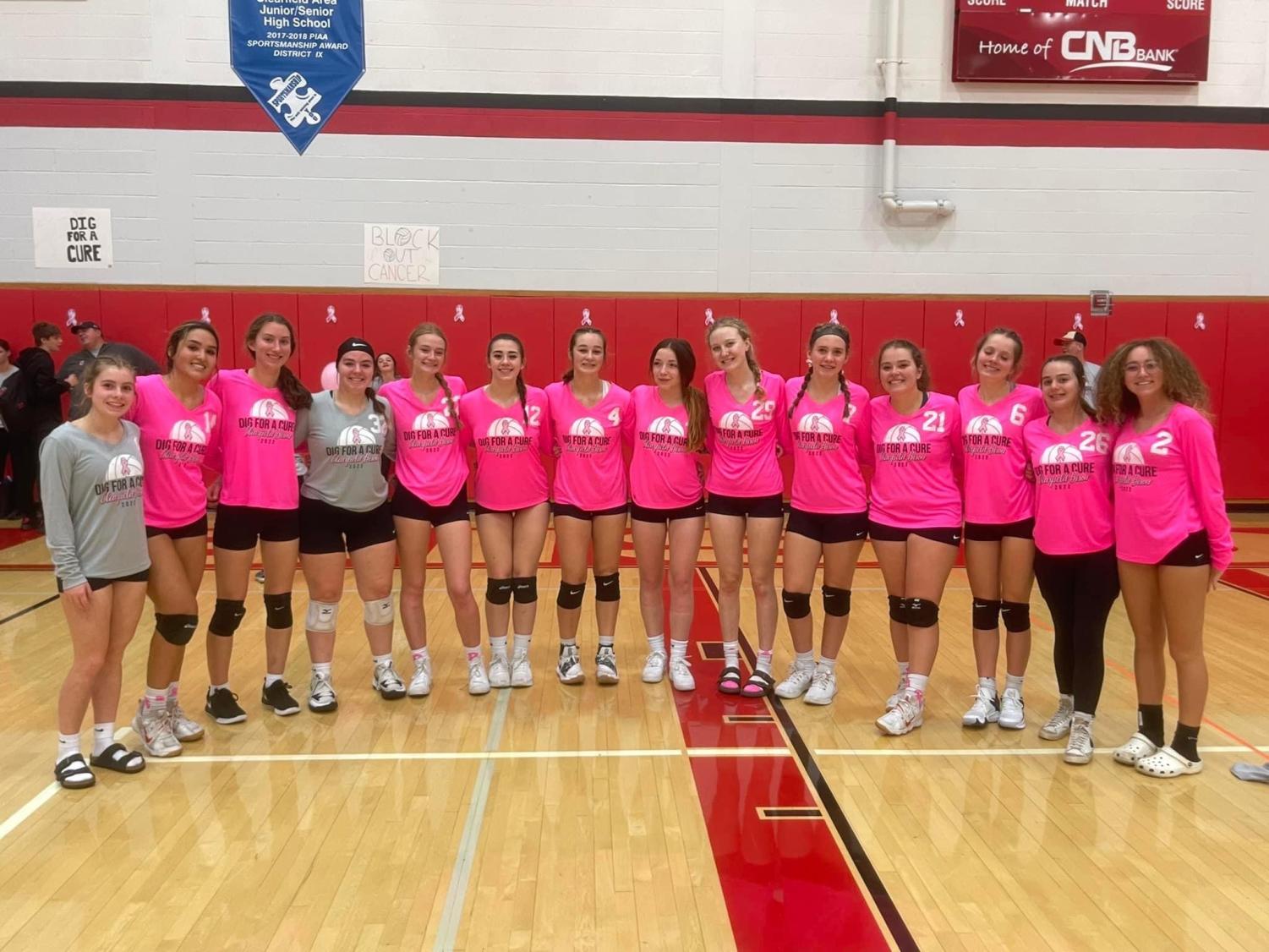 Lady Bison Volleyball Team Hosts Another Successful “Think Pink” Night ...